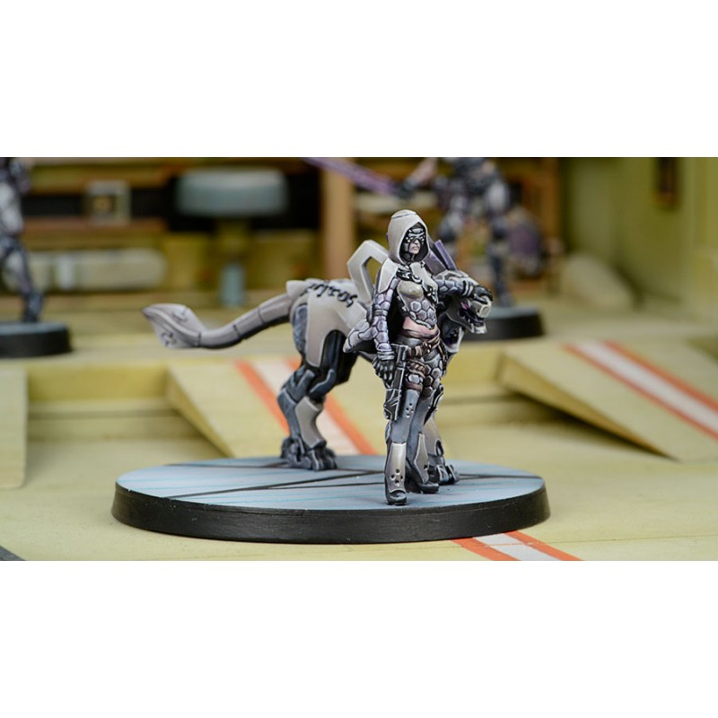 Infinity - Andromeda Sophistes of the Steel Phalanx (Submachine gun)