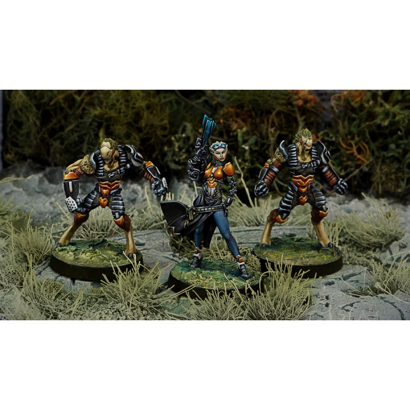 Infinity (Corvus Belli) - Tohaa Support Pack