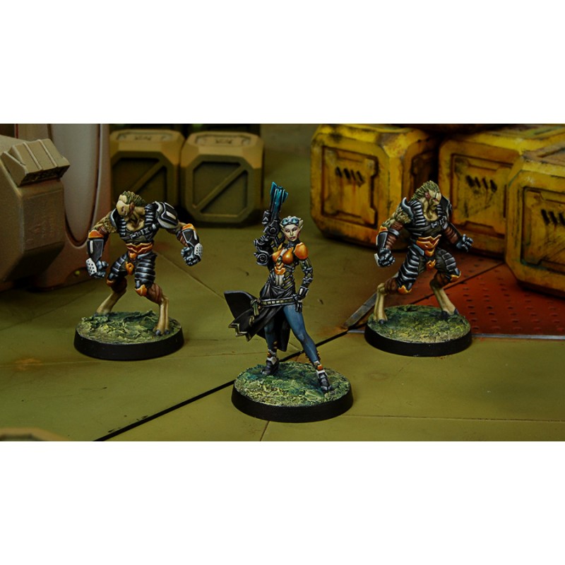 Infinity (Corvus Belli) - Tohaa Support Pack