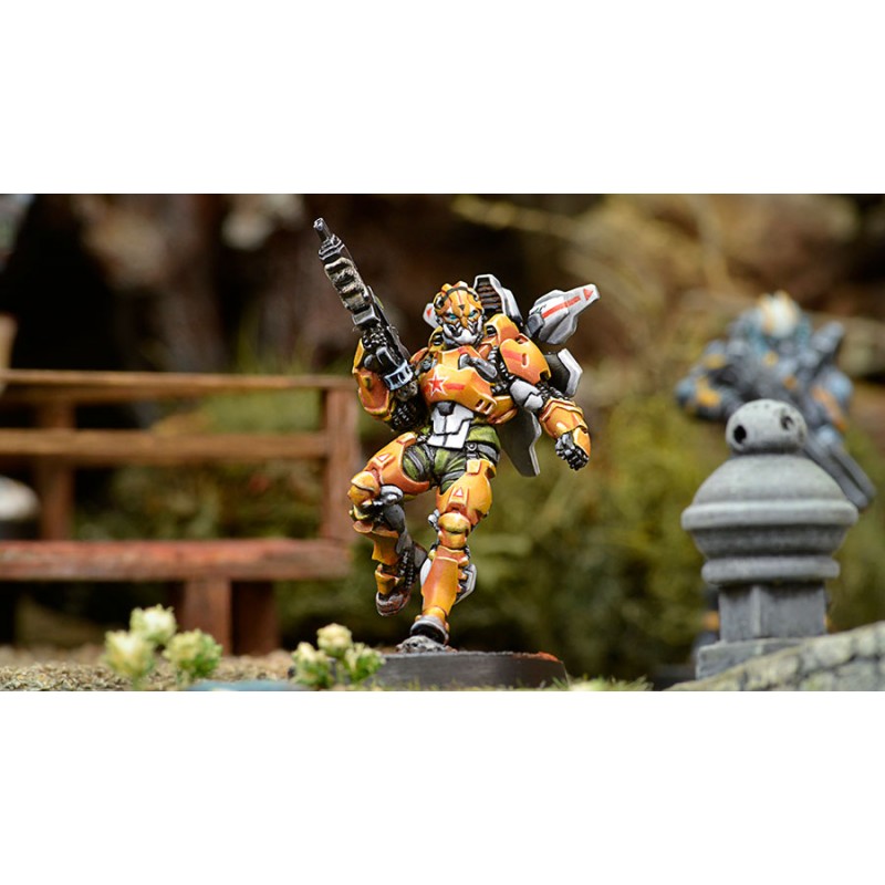 Infinity - Tiger Soldiers (Spitfire/ Boarding Shotgun)